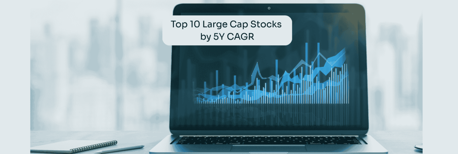 Top 10 Indian Large‑Cap Stocks: 5‑Year CAGR Returns & Investment ...