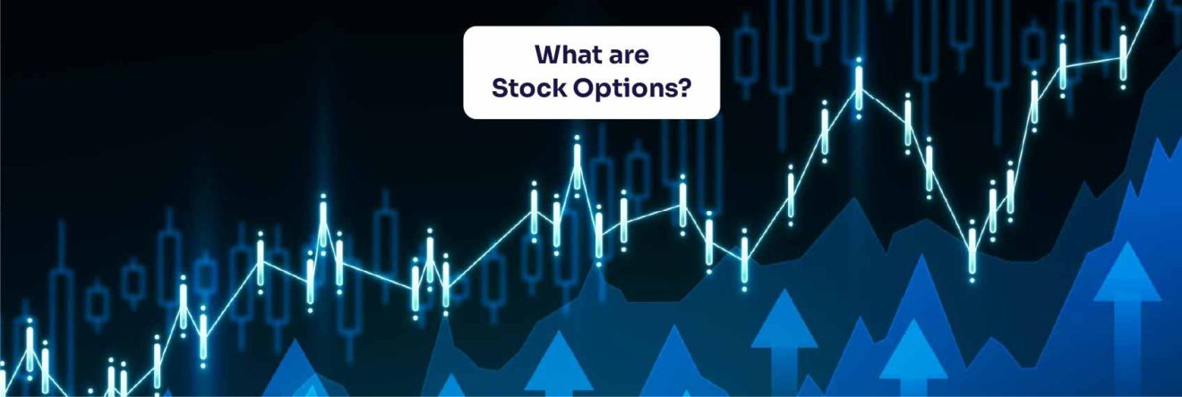 What are Stock Options? How to invest in stock options? | Ventura Blog